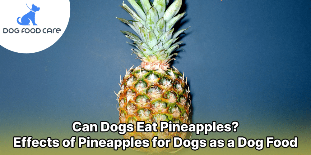 Can Dogs Eat Pineapples? Effects of Pineapples for Dogs as a Dog Food ...